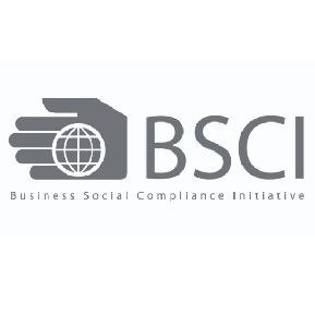 ESONE passed BSCI factory audit by TÜV Rheinland | ptfe-fabrics